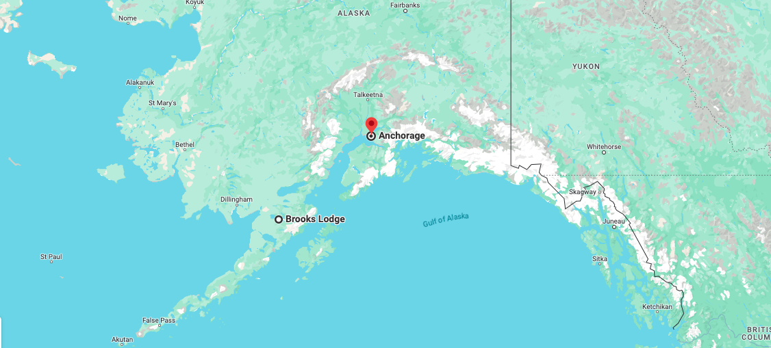 Brooks Falls Bärenbeobachtung Tagestour | Katmai National Park
