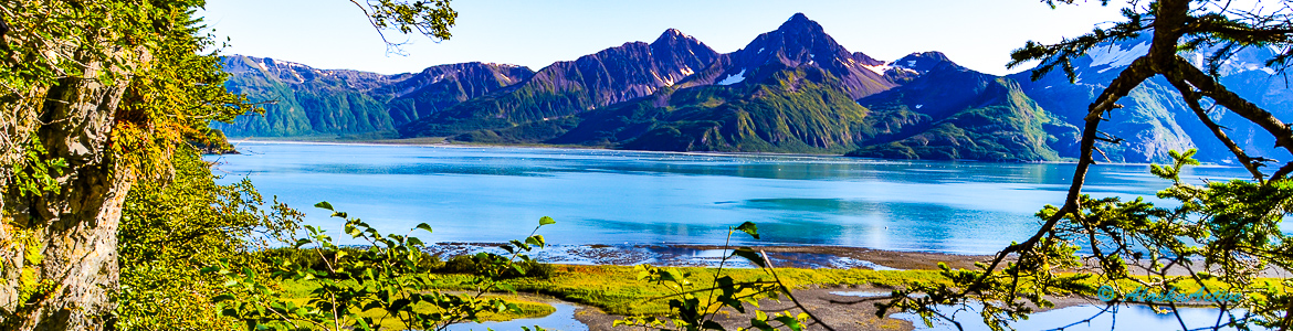 Kenai National Park Erleben | Ihr ultimativer Urlaub auf der Kenai ...